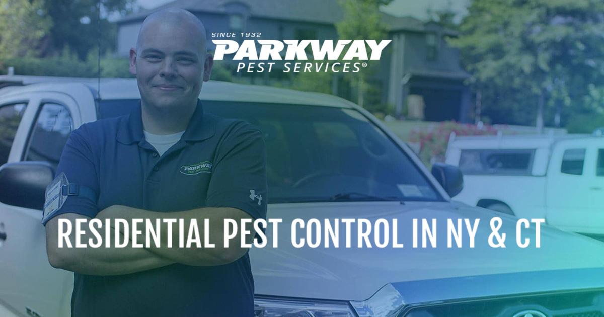 Queens, NY Pest Control | Parkway Pest Services