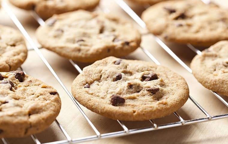 Don't Let Pests Ruin Your Cookies This Holiday Season